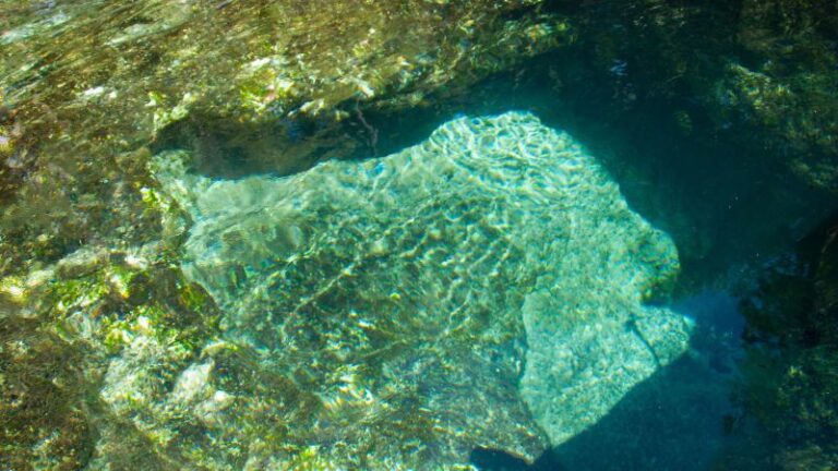 Top 10 Florida Swamps You Definitely Don’t Want to Get Lost In - Trips ...