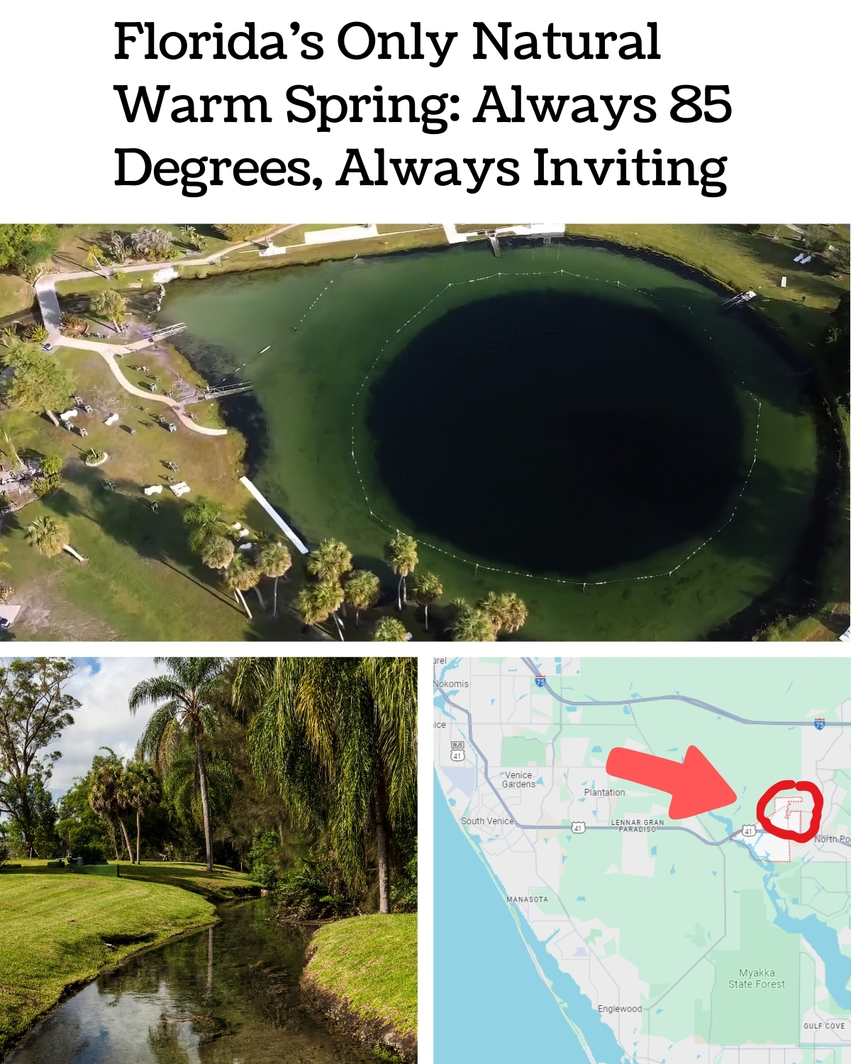 The Only Natural Warm Spring In Florida - Warm Mineral Springs - Trips ...